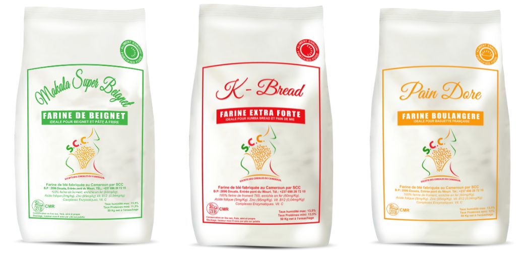 SCC | Kadji Group – The Kadji Group